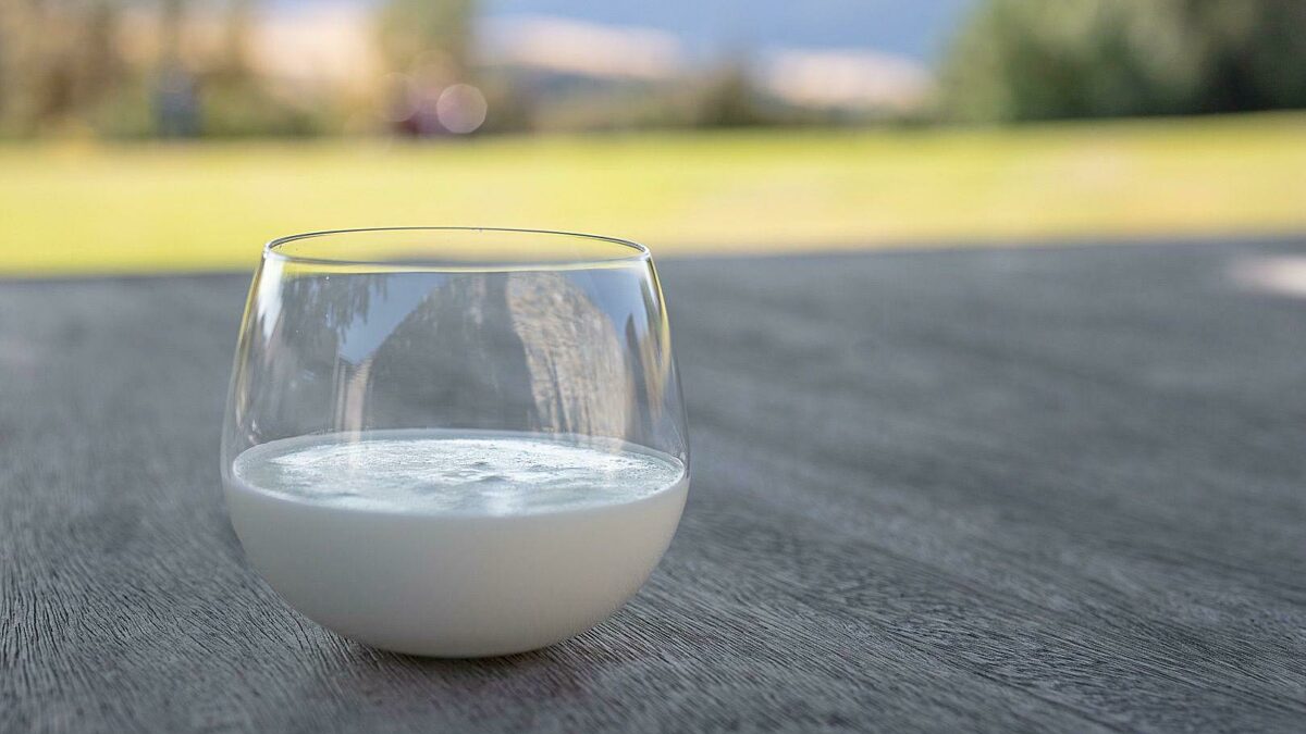 Pāmu Milk | 100% Pure Organic Milk Powder & Long Life Milk | New…