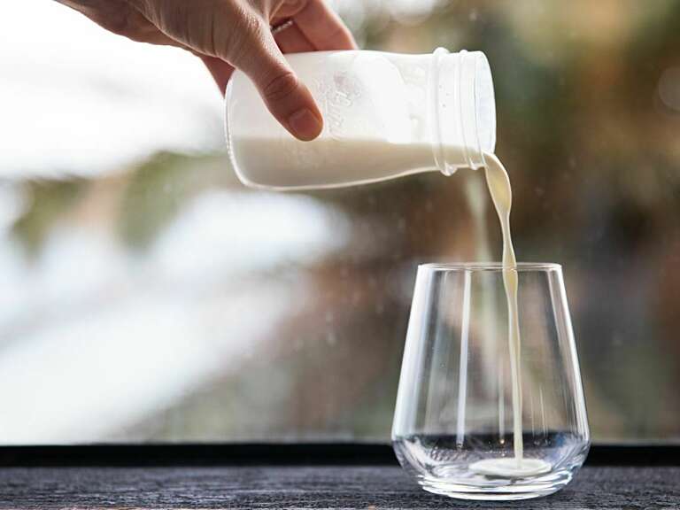 Pāmu Milk | 100% Pure Organic Milk Powder & Long Life Milk | New…