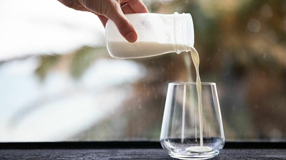 Pāmu Milk | 100% Pure Organic Milk Powder & Long Life Milk | New…